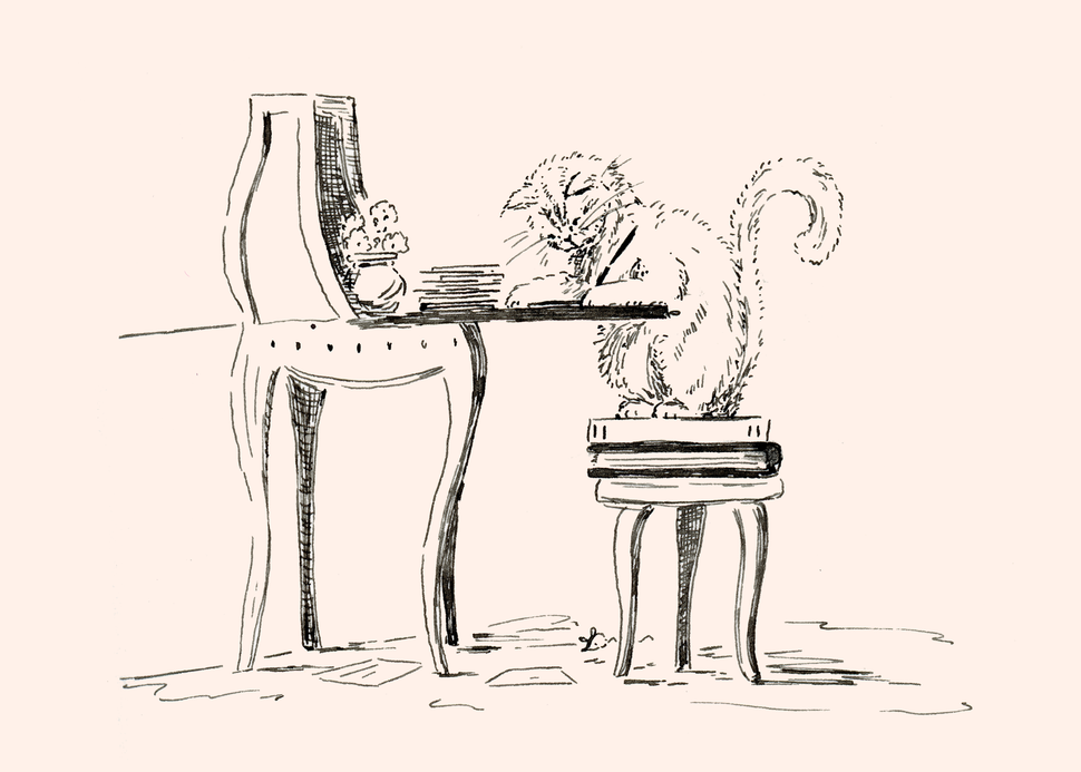 Texas Wildflowers Stationery Set – SWINK | Sarah Writes In Ink